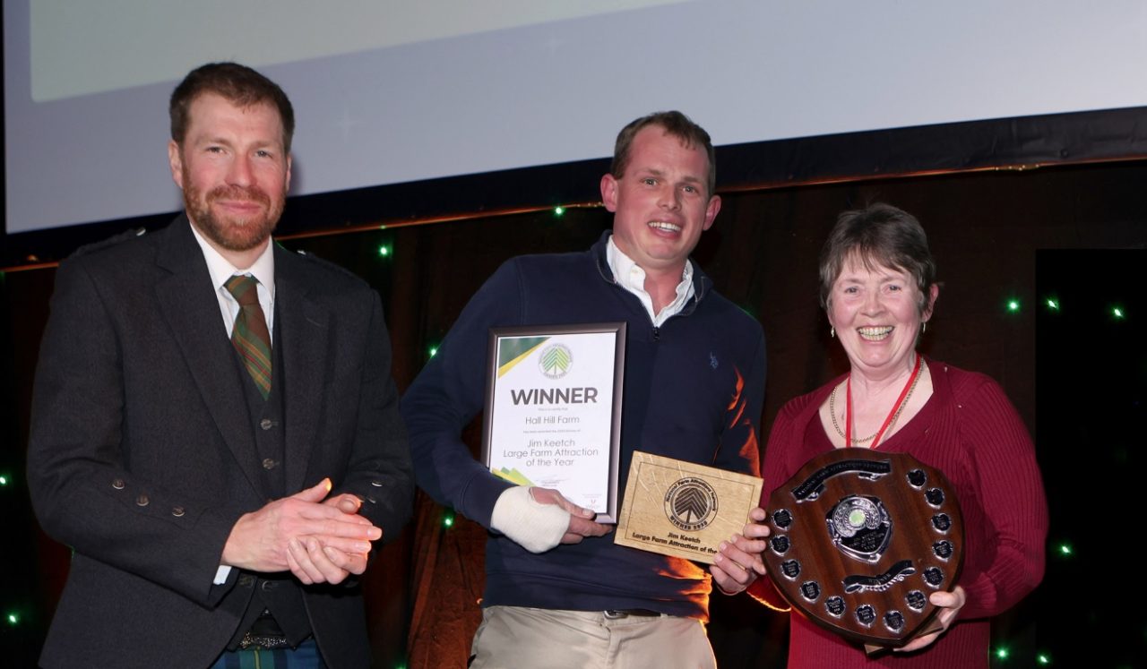 Hall Hill Farm in County Durham crowned UK’s best large farm attraction ...